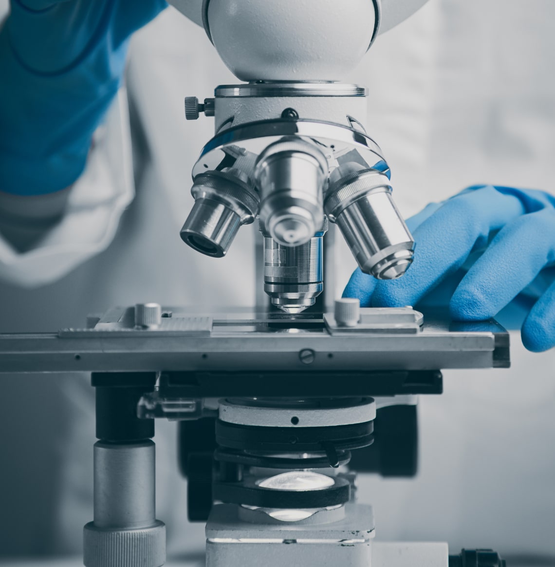 Data Solutions for Business Growth | Sentient1